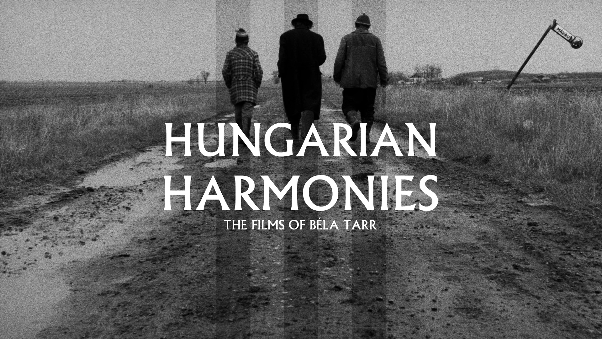 Hungarian Harmonies The Films Of B la Tarr LAB111 hungarian-harmonies-the-films-of-b-la-tarr-lab111